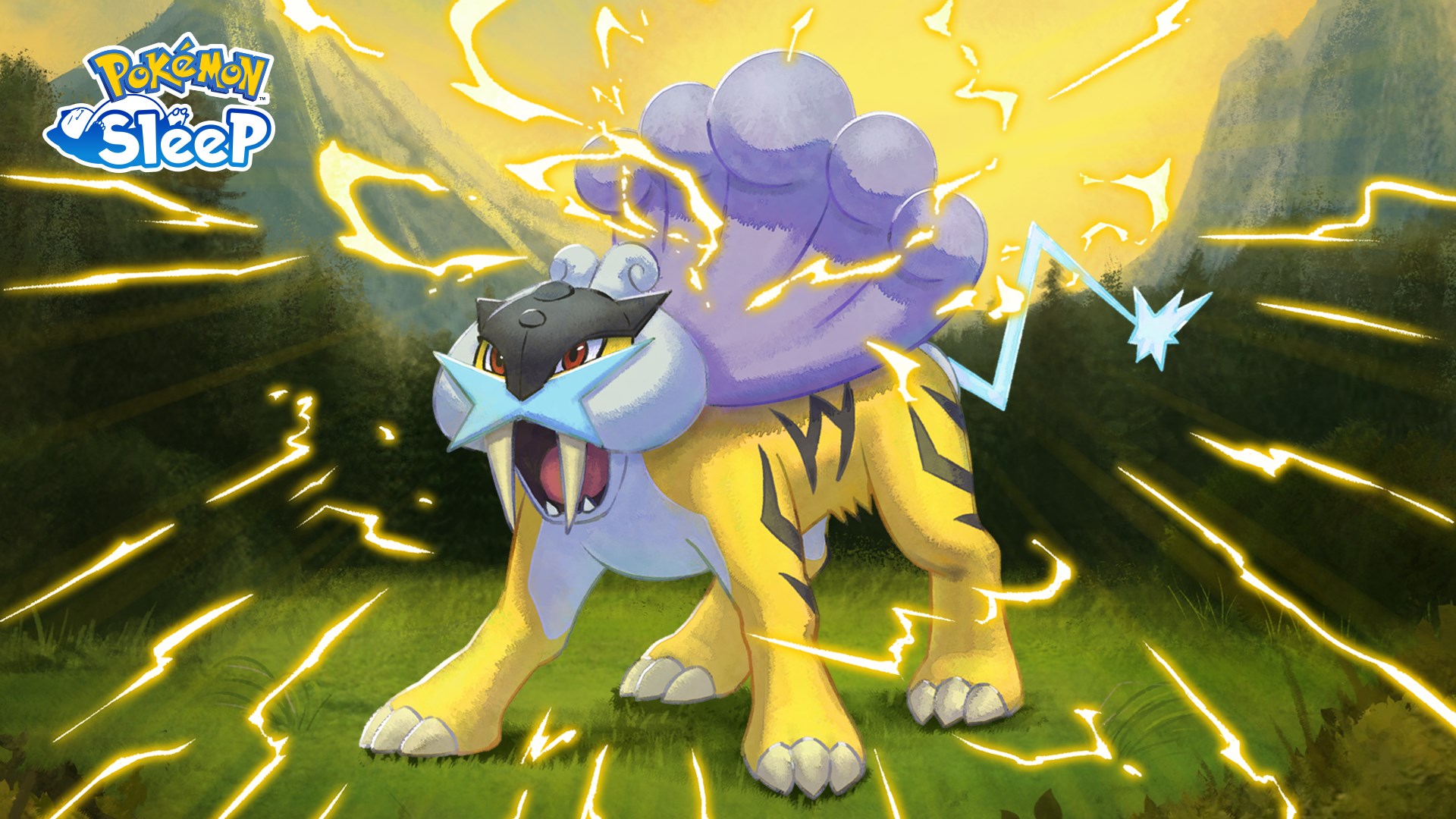 Pokémon Sleep : Pokémon Presents les annonces - Pokégraph